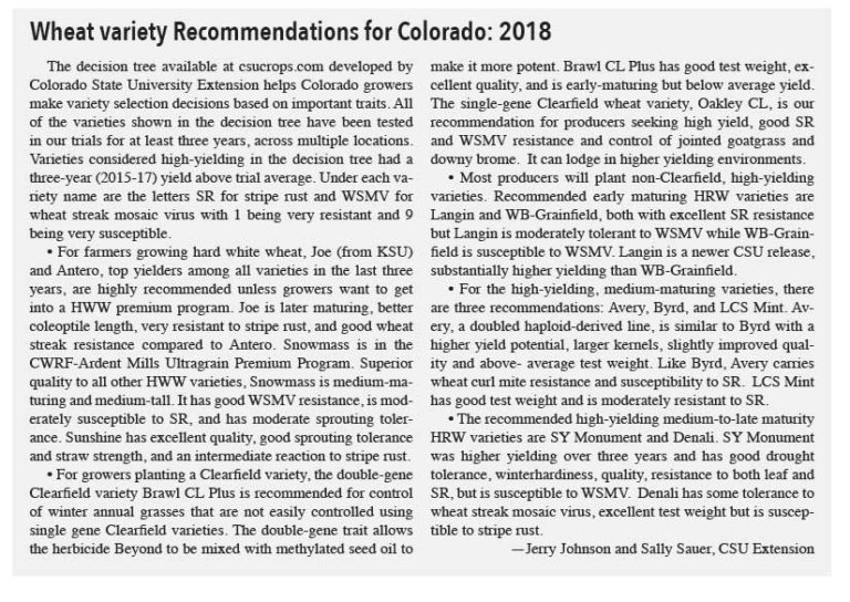 Top Picks: 2018 Wheat Varieties Book